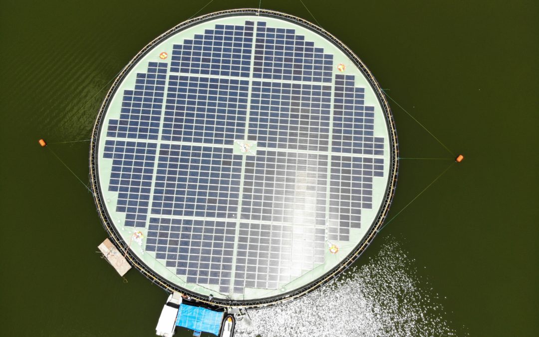 “Enormous potential in floating solar” | Ocean Sun
